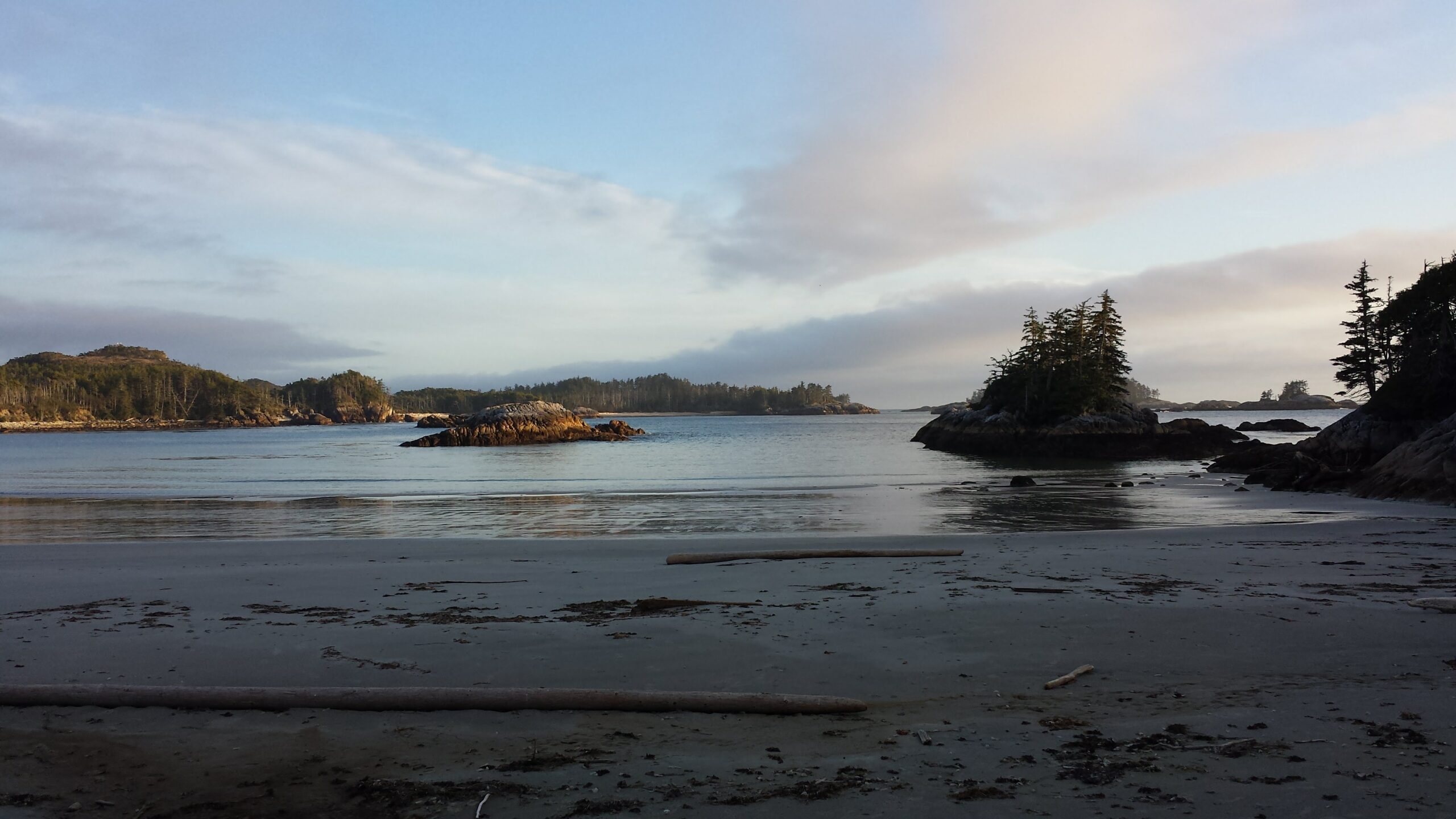 Carbon Credits | Coastal First Nations