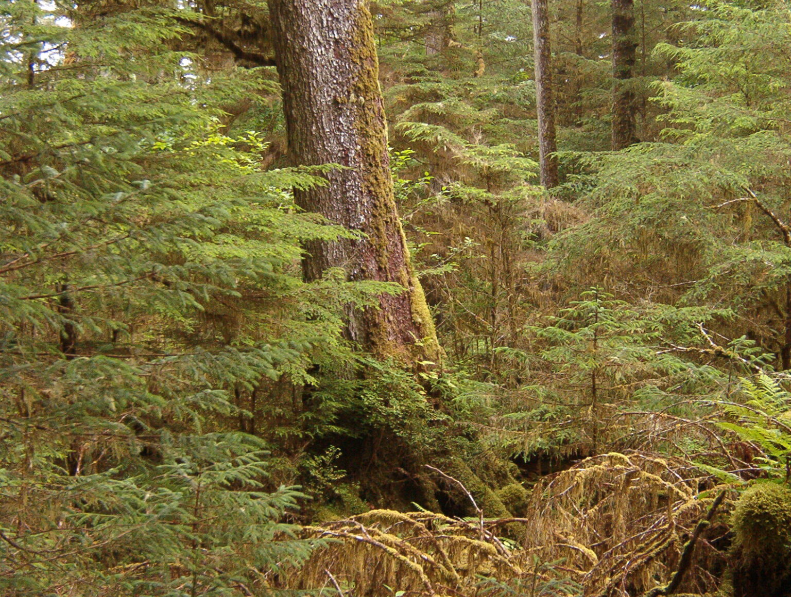 Heiltsuk Nation | Coastal First Nations