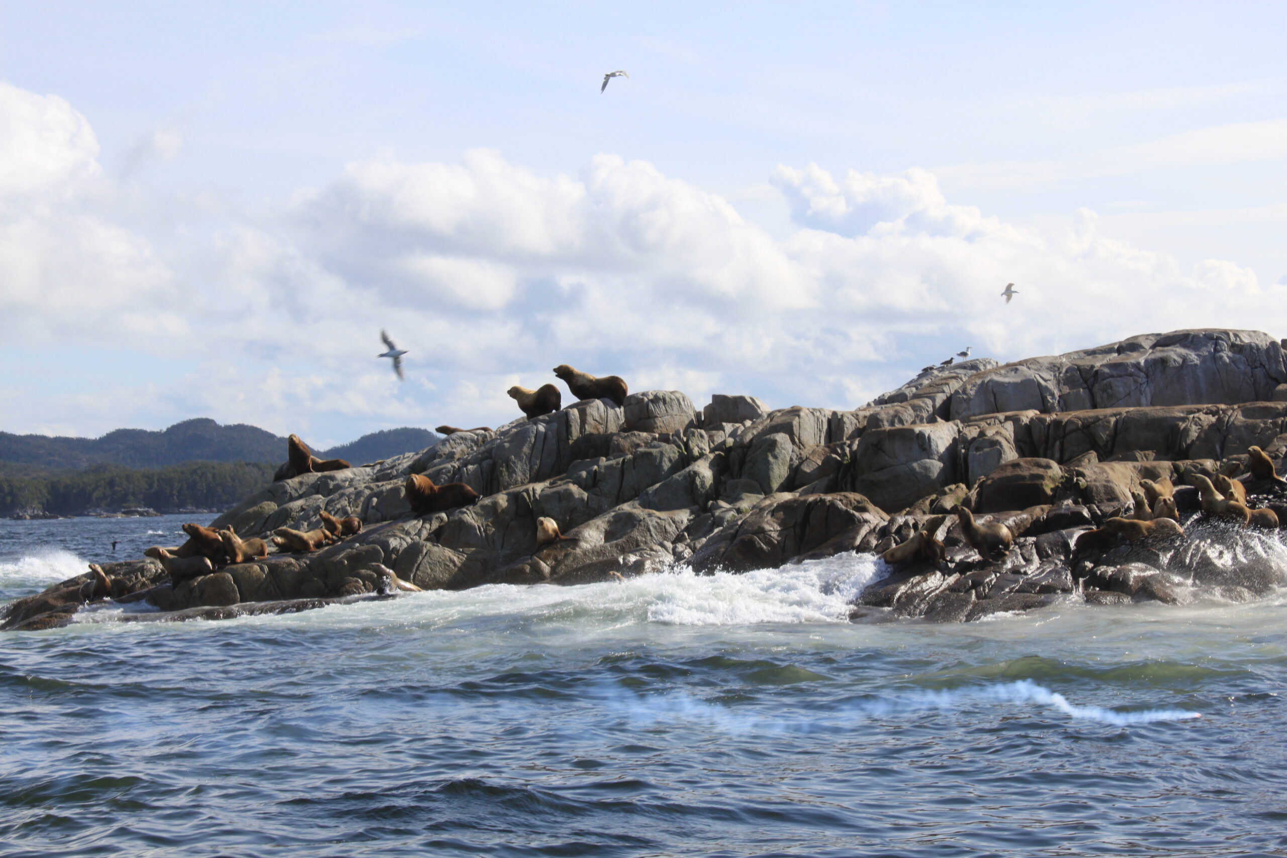 Metlakatla Nation | Coastal First Nations