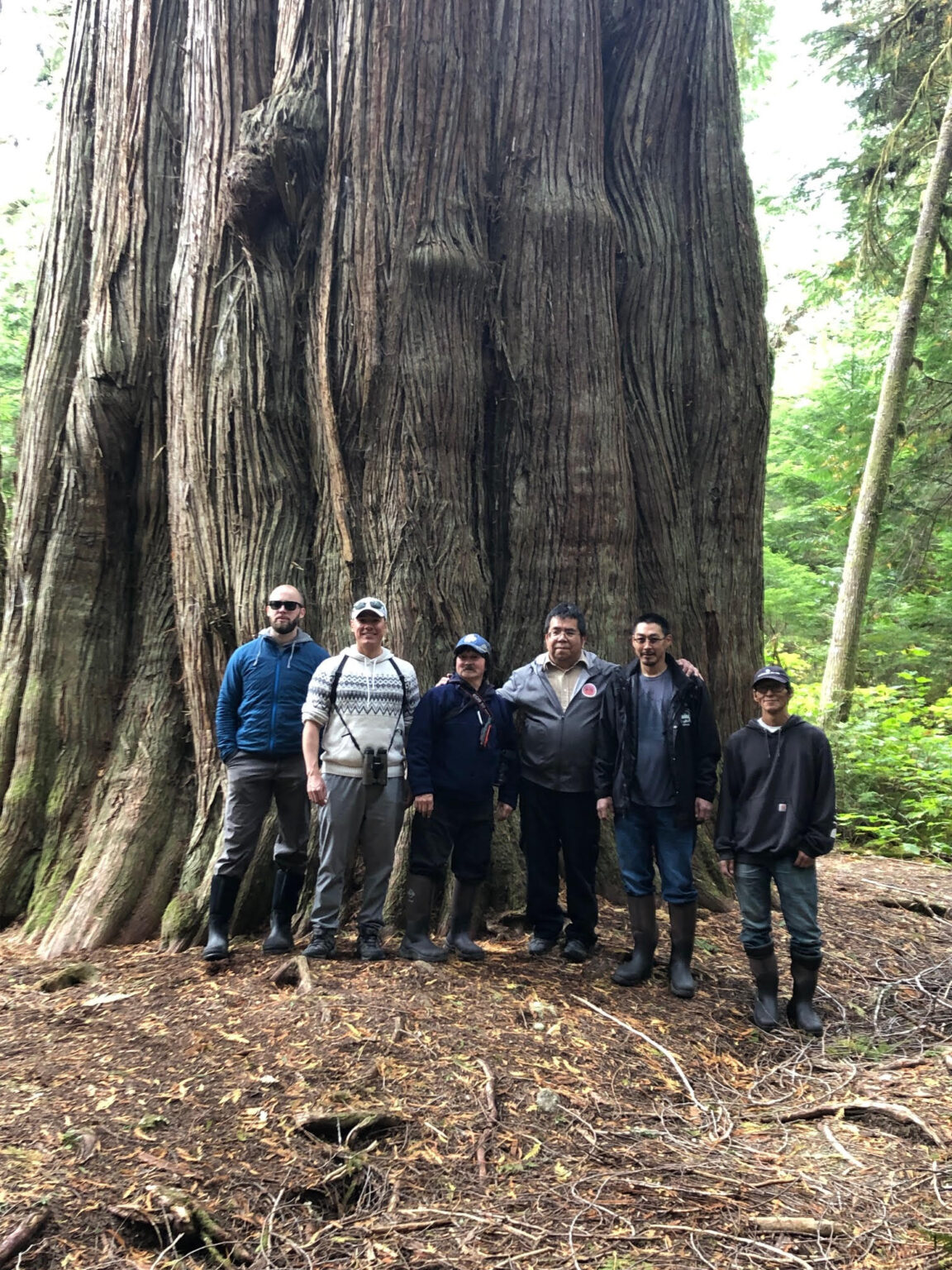 About Us | Coastal First Nations